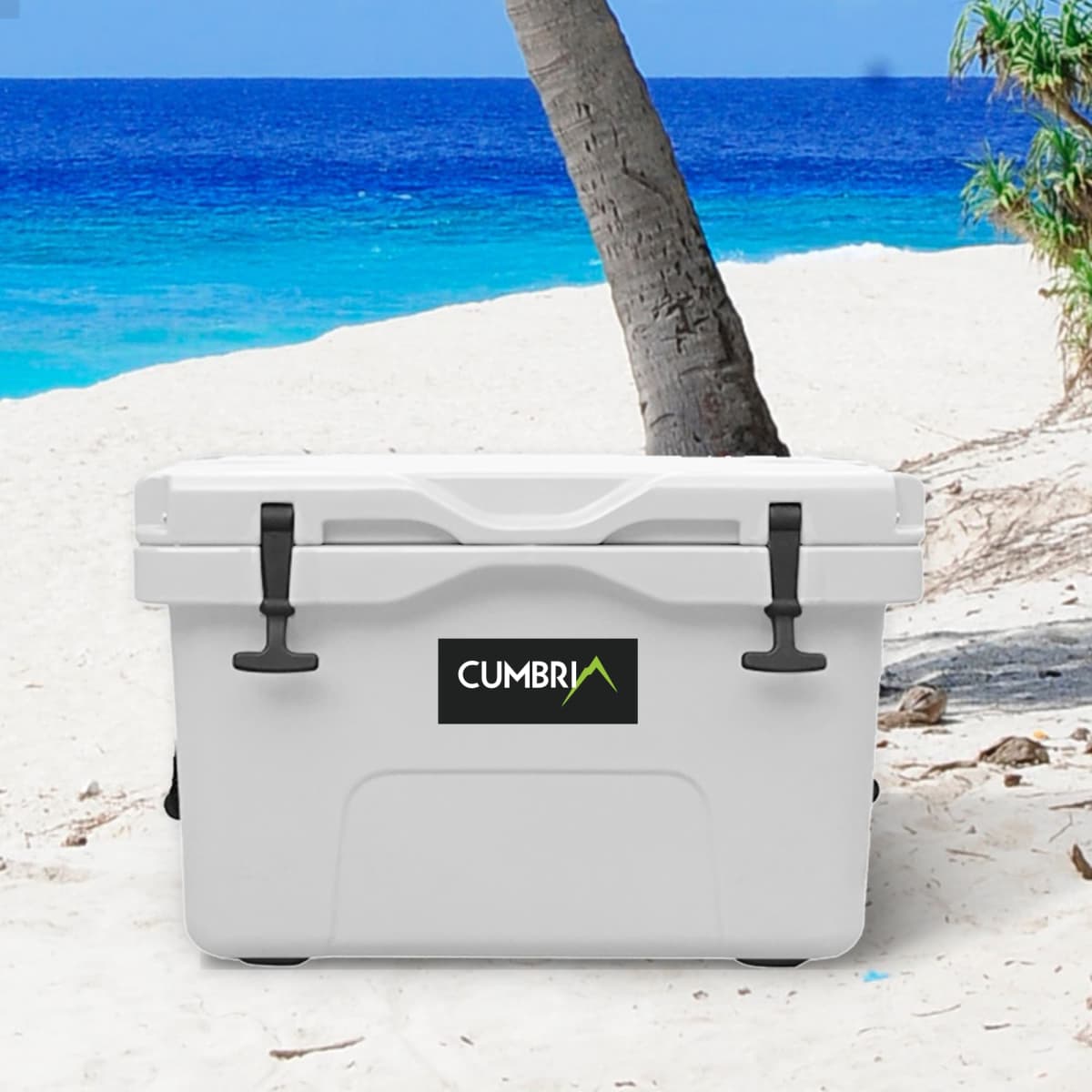 25L Cooler Box • ASB Branded Merchandise